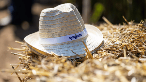 Outcast® darázsirtó aeroszol - Darázsirtó aeroszol | Syngenta